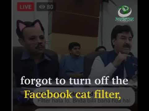 Government officials in Pakistan forget to turn off cat filter during ...