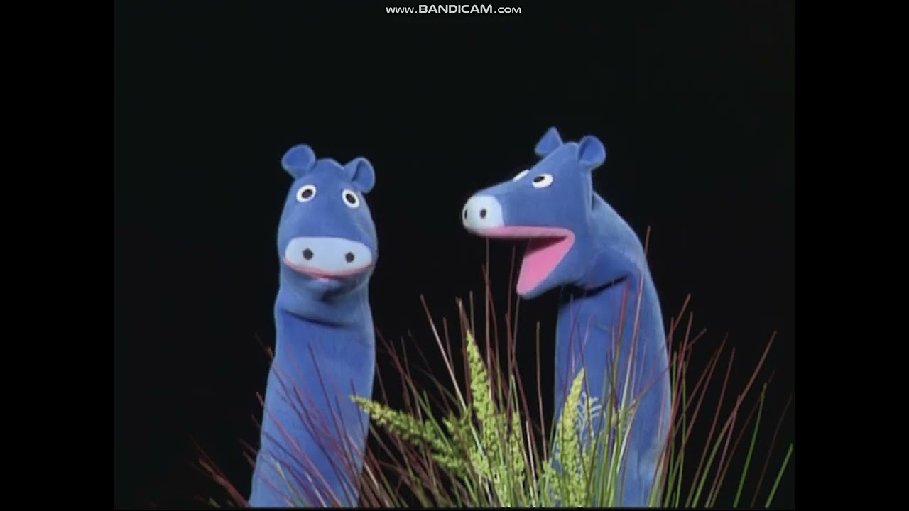 Harry The Blue Hippo (Baby da Vinci): Yawning - YouTube