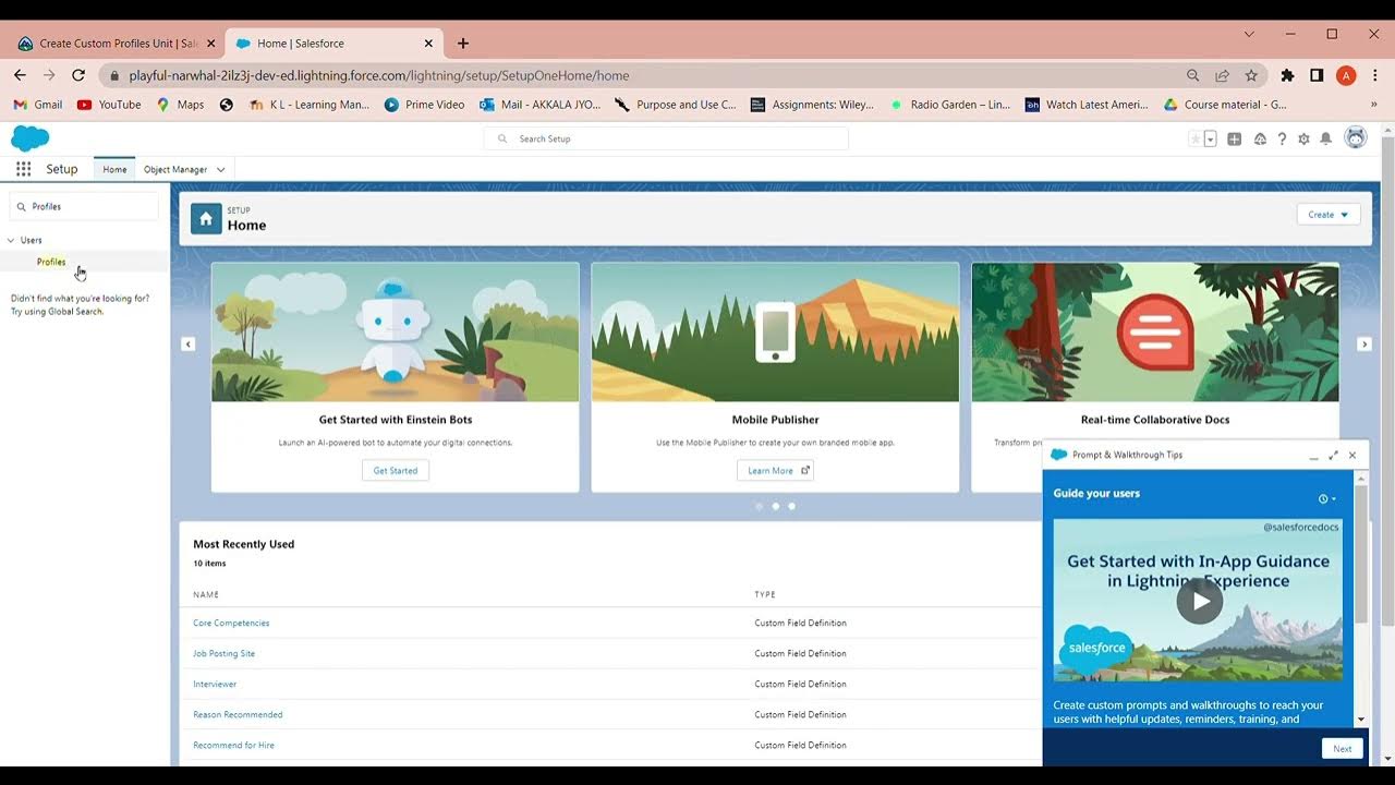 Create Custom Profiles Unit Salesforce Trailhead Youtube