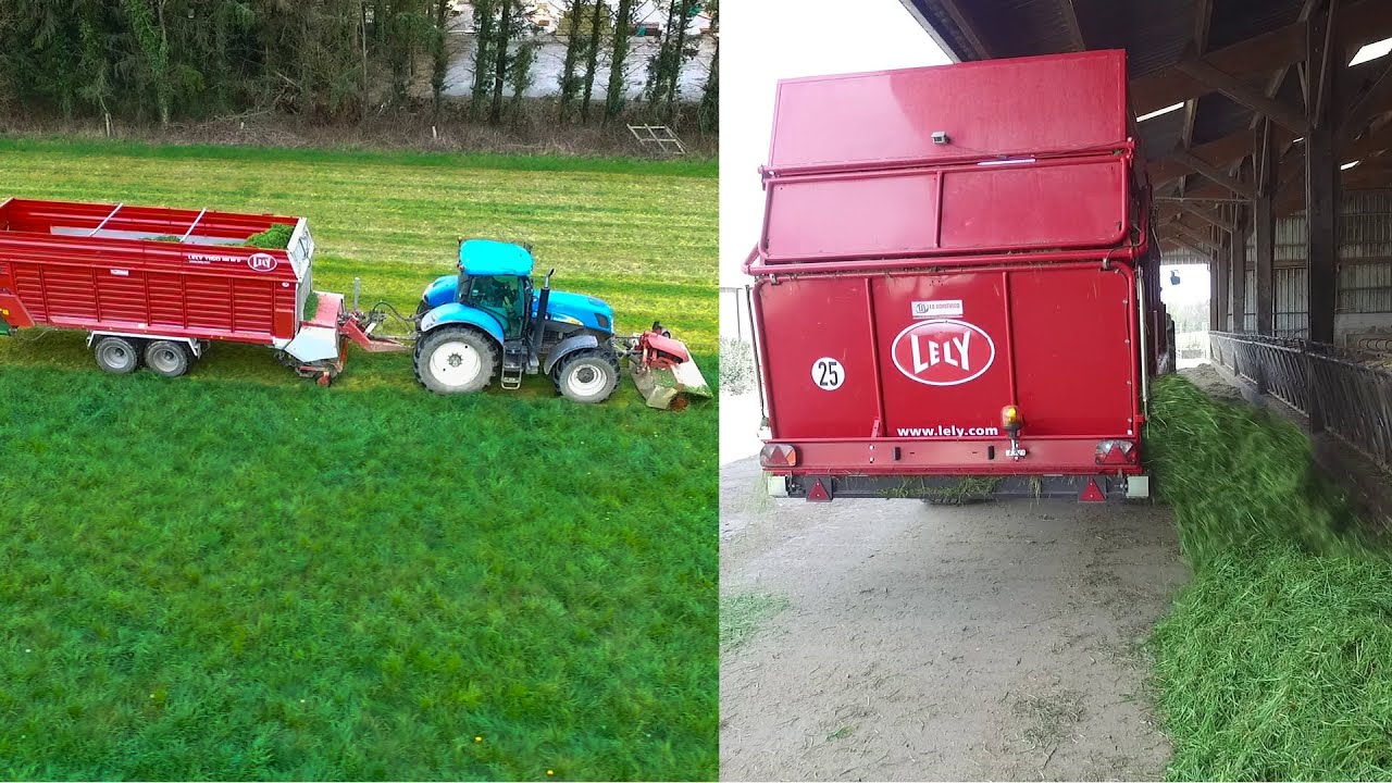 LELY SPLENDIMO 300 FS + LELY TIGO MR 60 D + NEW HOLLAND T7040 - YouTube