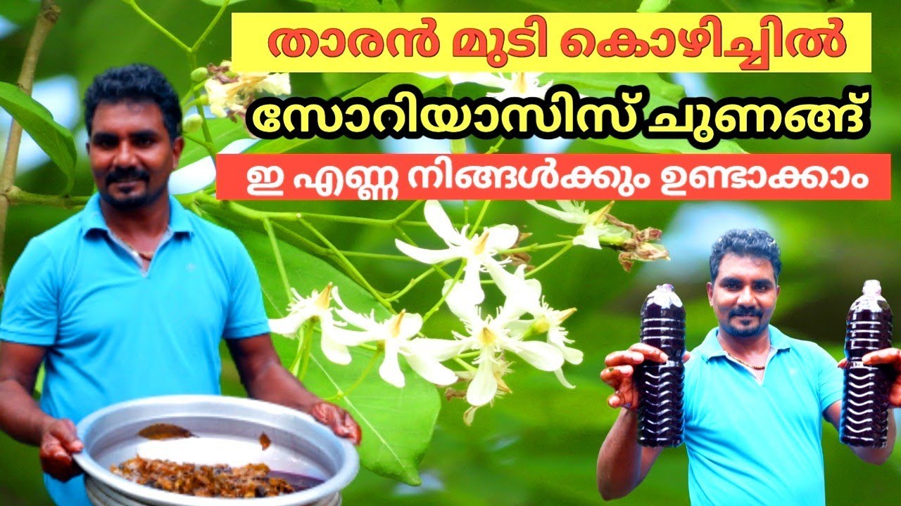 how to make danthapala,ayapala,hair oil at home malayalam ...