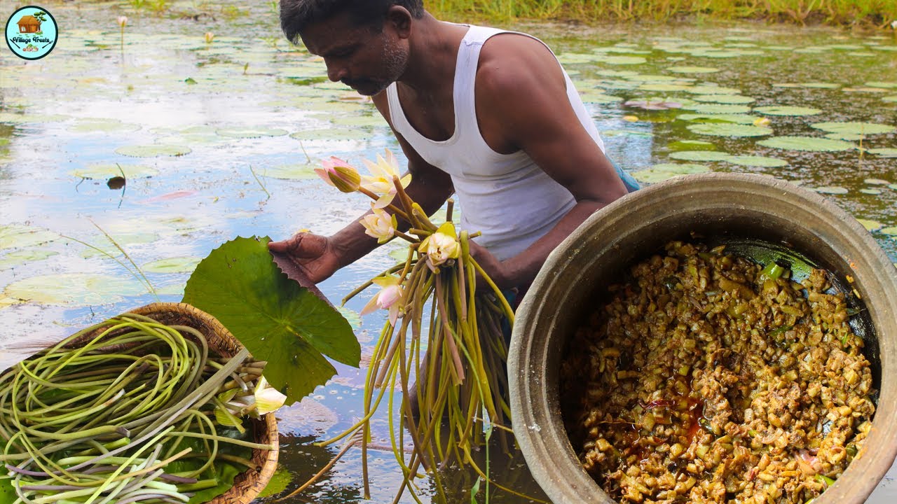 Lotus Sticks Curry Cooking In Village | Village Secret Recipe | Village ...