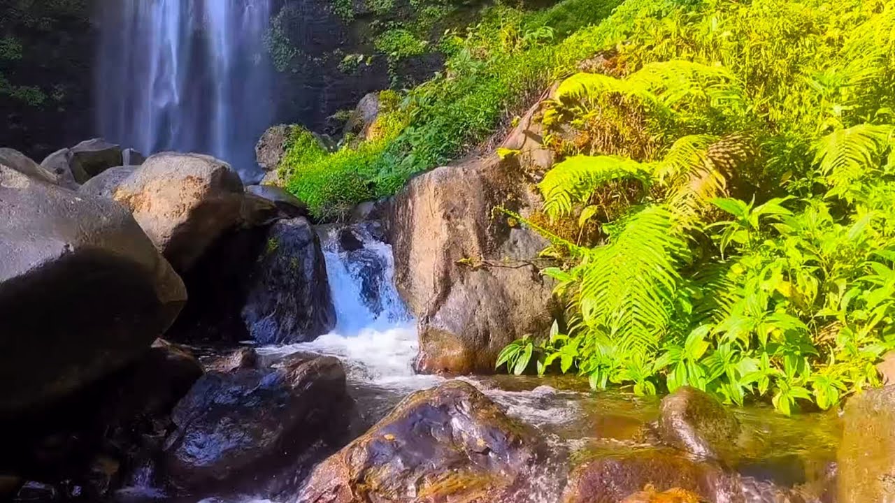 Relaxing Waterfall Sounds for ASMR Nature Moods and Stress Relief - YouTube