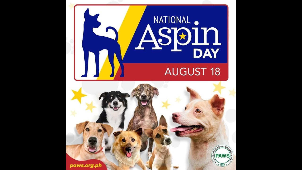 Happy National Aspin Day - YouTube