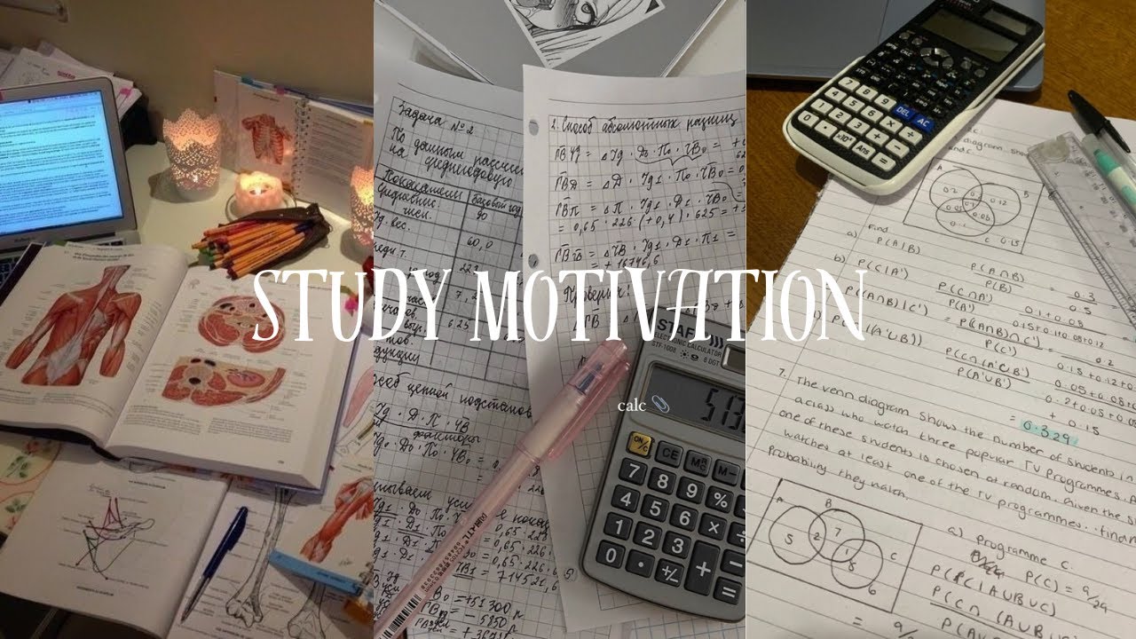 📚TOXIC STUDY MOTIVATION | Tiktok Study Motivation | Study Motivation | Aesthetic Study | - YouTube