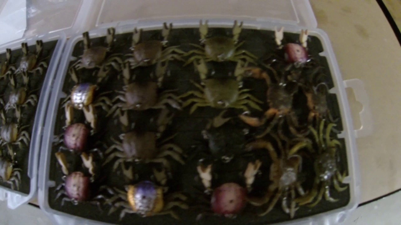 Cranka Crab storage - YouTube