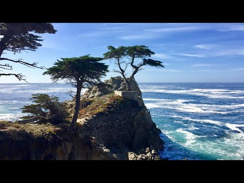Warning WESTCOAST "Pebble Beach platonic Shift Cali in danger # ...