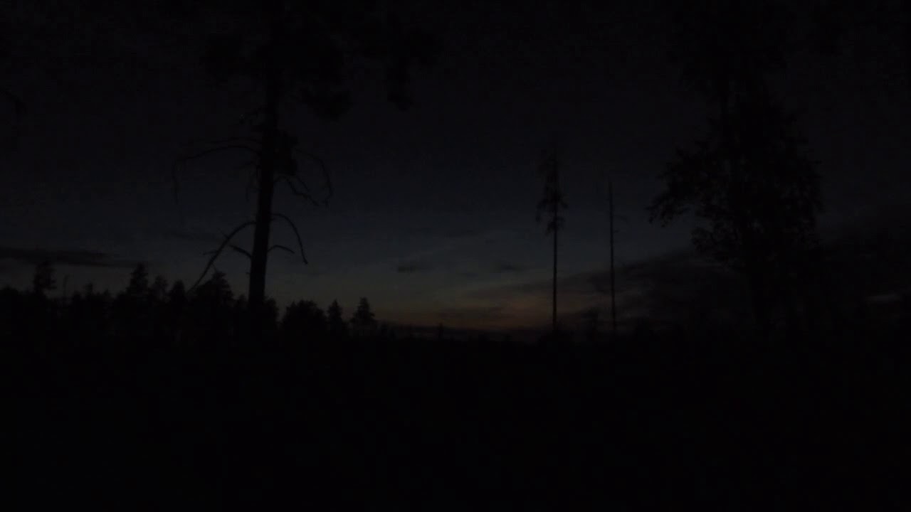 Nattskärra (Läte) European Nightjar (Sound) Caprimulgus europaeus - YouTube