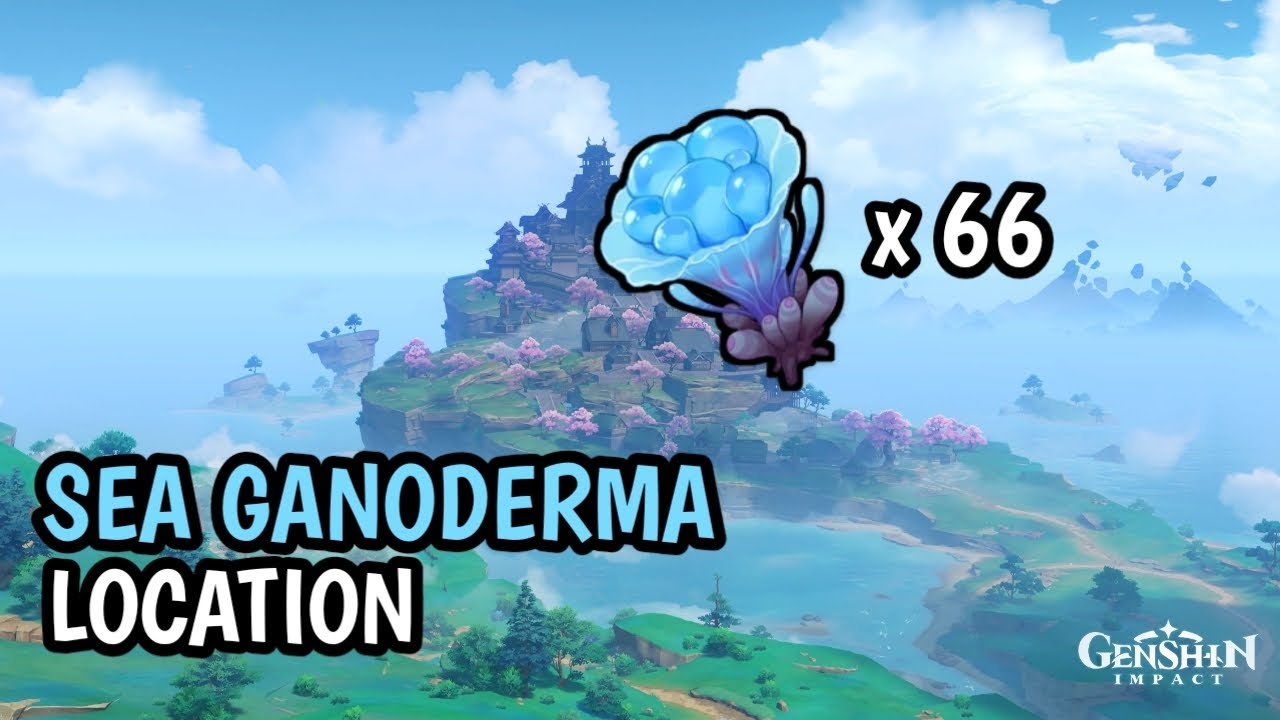 Sea Ganoderma Location - Genshin Impact - YouTube