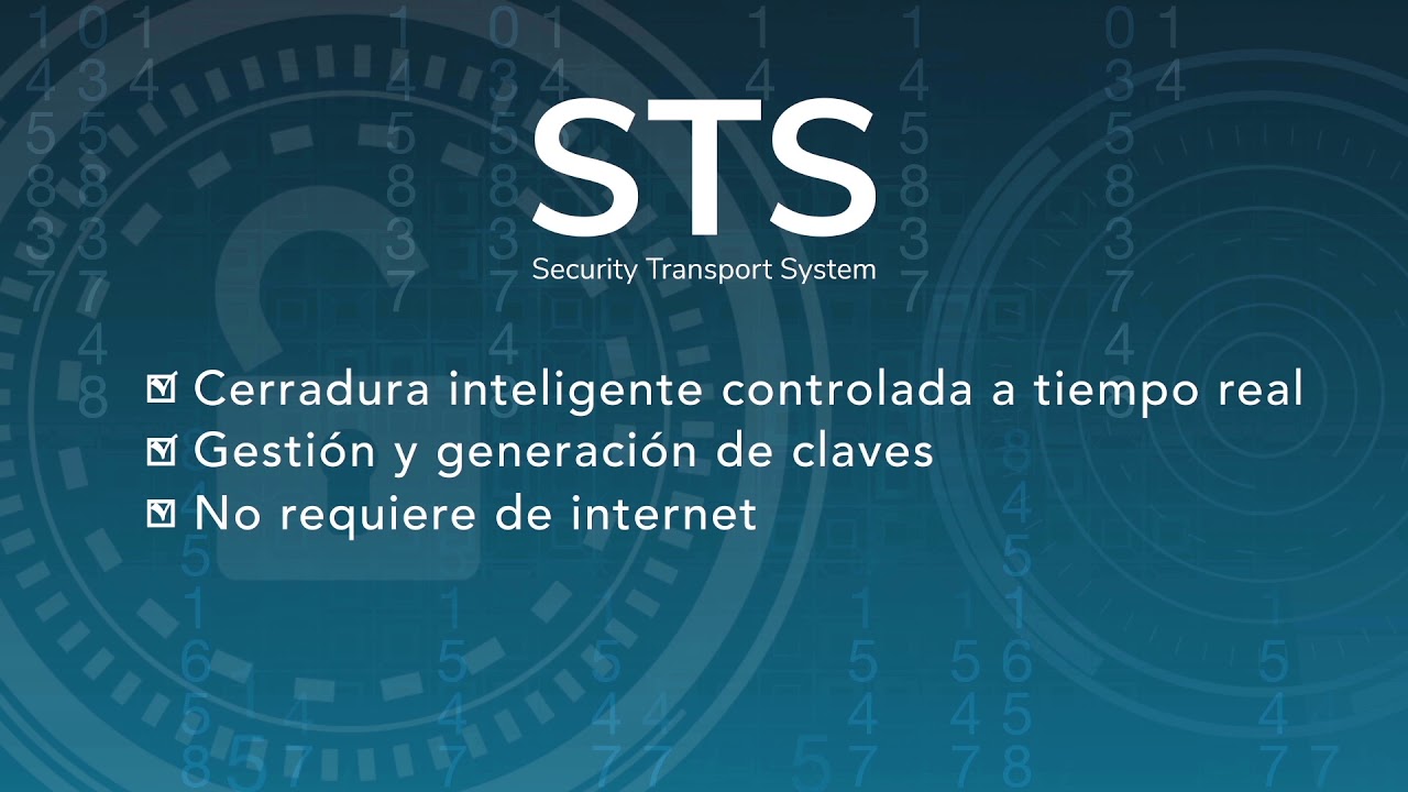 2 STS CARACTERISTICAS - YouTube