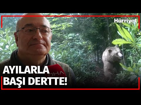 Prof. Dr. Mikdat Kadıoğlu Evine Kamera Kurdu! Sosyal Medyada Paylaştı: 'Meteor'un İlk Görüntüsü'