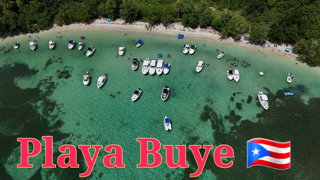 Playa De Puerto Rico Buye Cabo Rojo🇵🇷🏖☀️♻️#roncamosporquepodemos♻️ ...