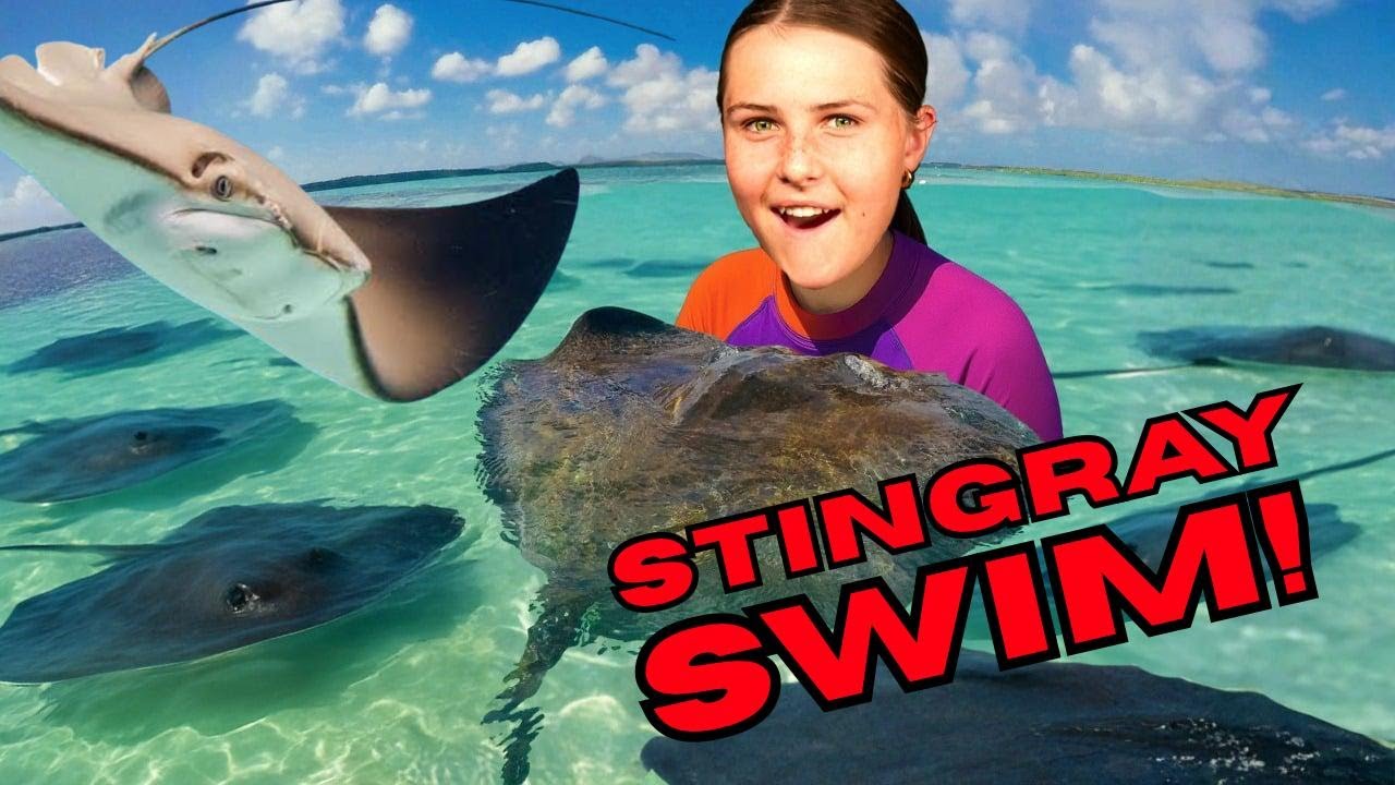 Face-to-Fin with Danger: Feeding Wild Stingrays! - YouTube