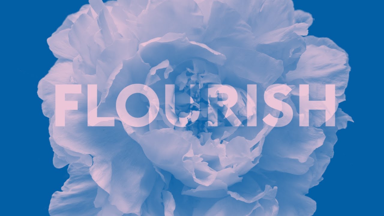 Flourishing Gays Presents: Jan Rybeck on Vertical Development - YouTube