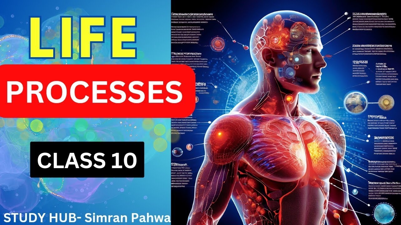 LIFE PROCESSES PART 3| SHORT TRICKS AND MIND MAPS | Important previous ...