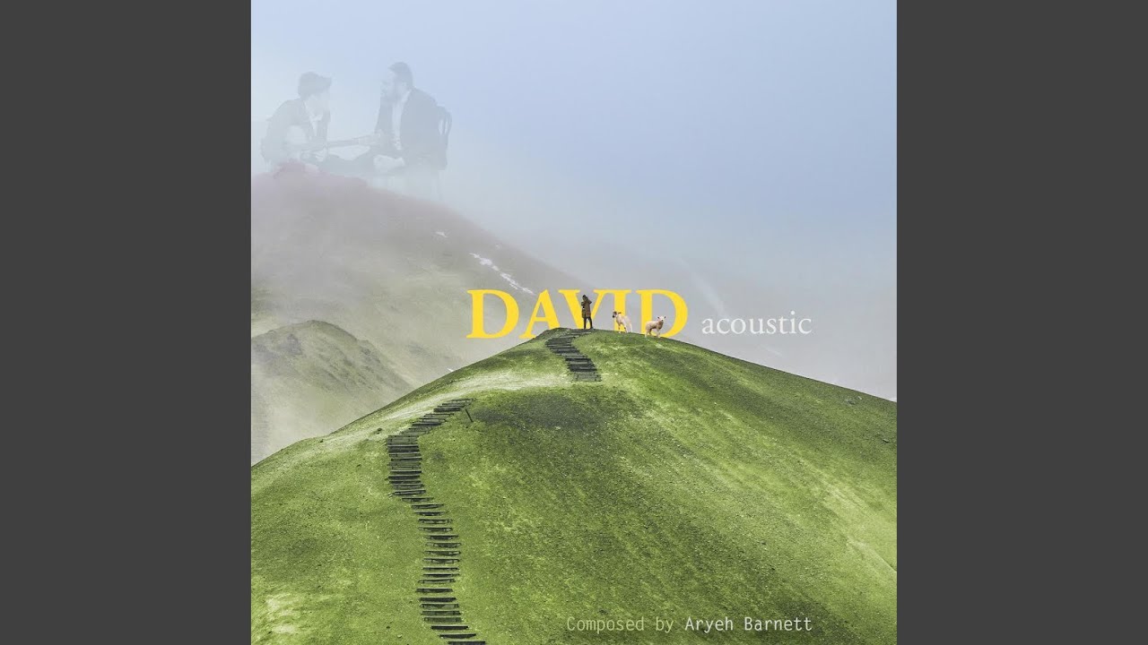 David (feat. Aryeh Barnett) - YouTube