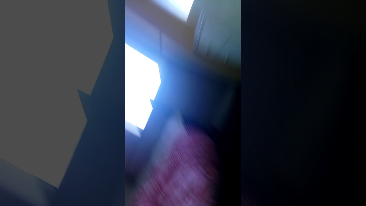 My Sister Loves Me Youtube