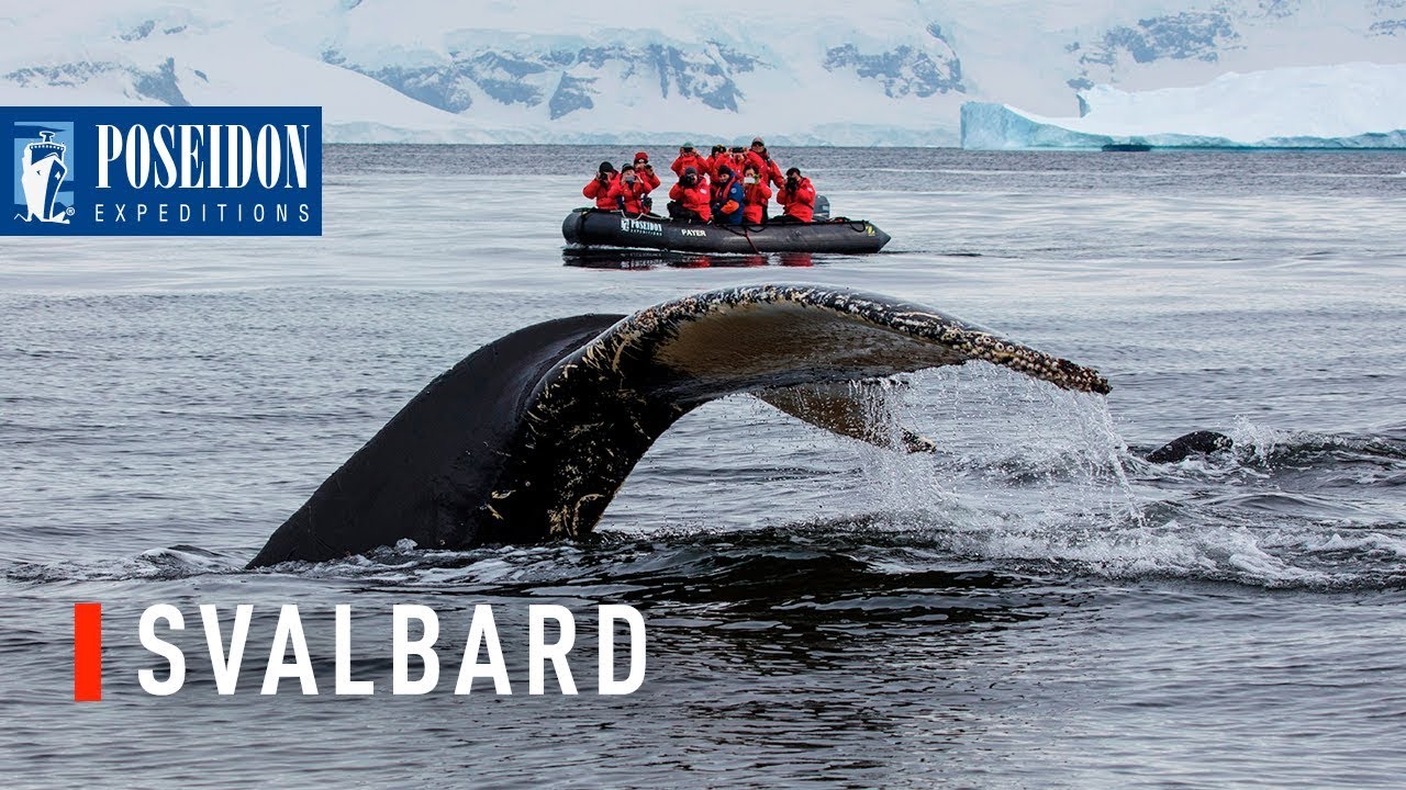 Cruise Svalbard & Polar Ice Edge | Poseidon Expeditions