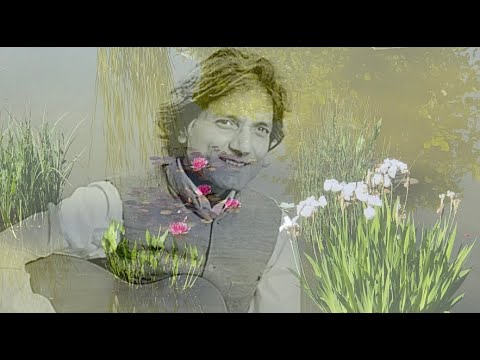 Sarod Samrat Vasant Rai : Raga Kirwani: Ustad Zakir Hussain Tabla: Live ...