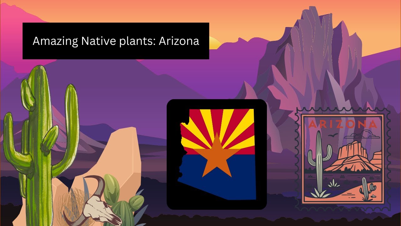 Amazing Native Plants: Arizona ep22 - YouTube