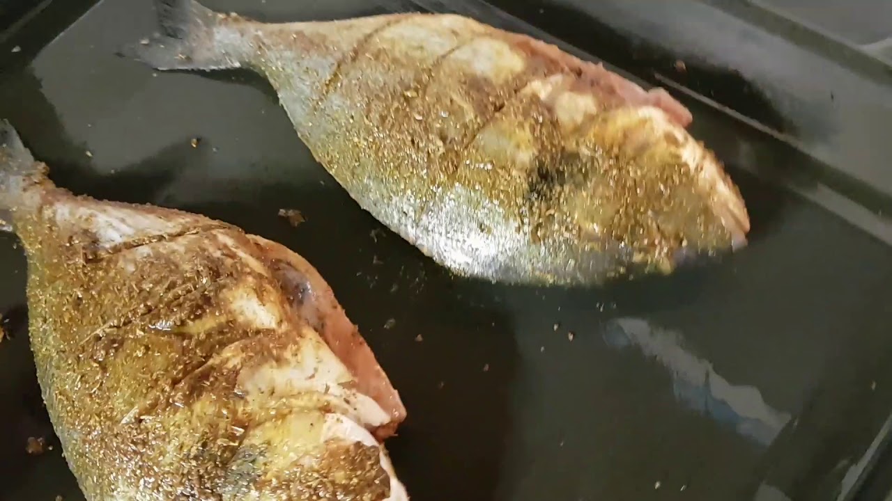 TOASTED FISH - YouTube