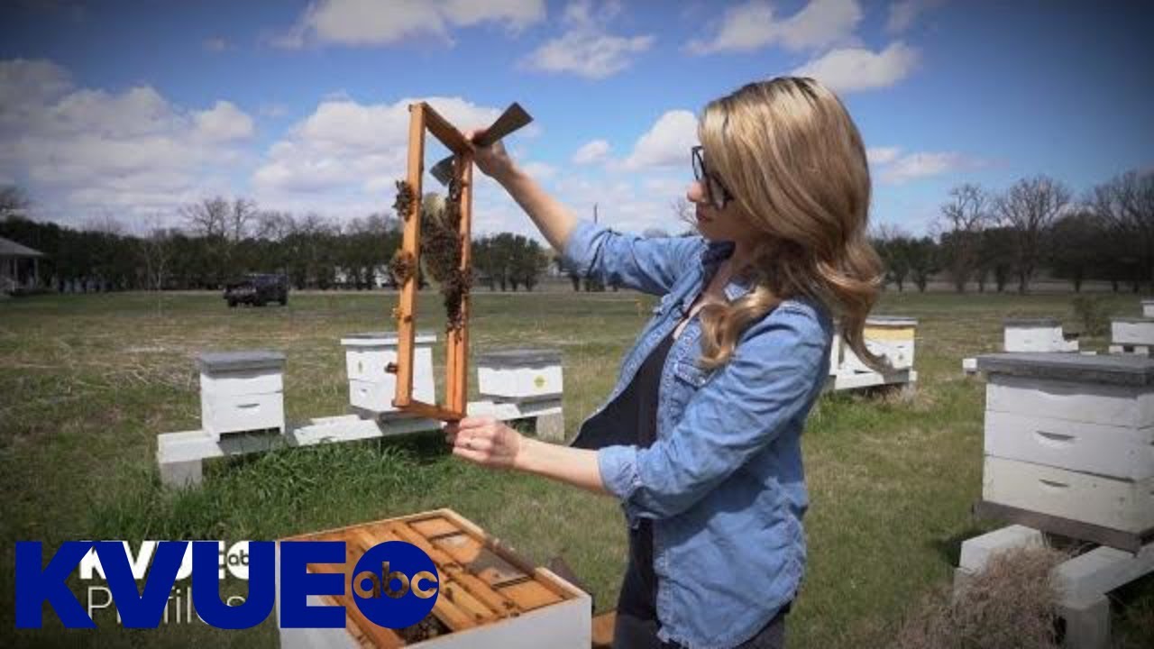 KVUE Profiles: Texas Beeworks | KVUE - YouTube
