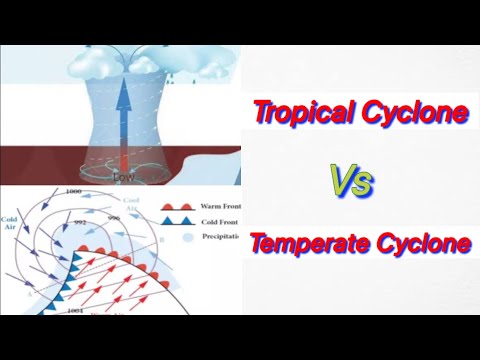 Difference between Tropical Cyclone and Temperate Cyclone | Tropical ...