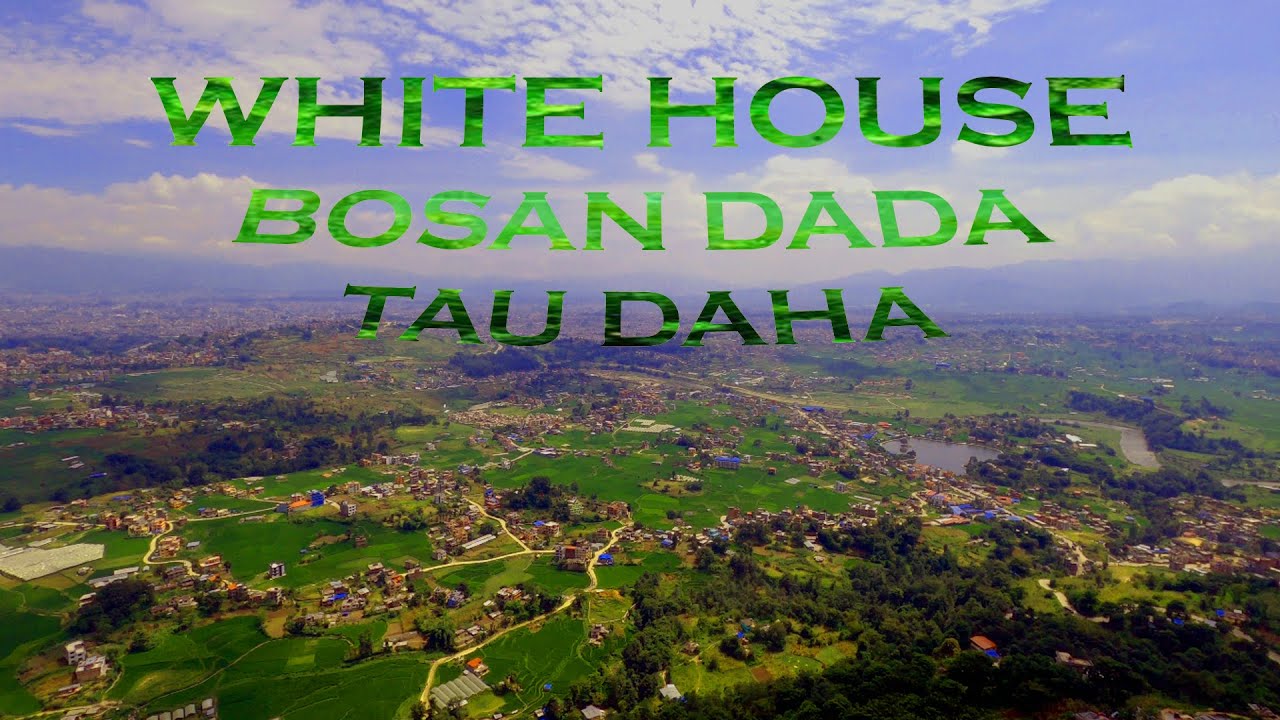 WHITE HOUSE DADA | BOSAN DADA | TAUDAHA - YouTube