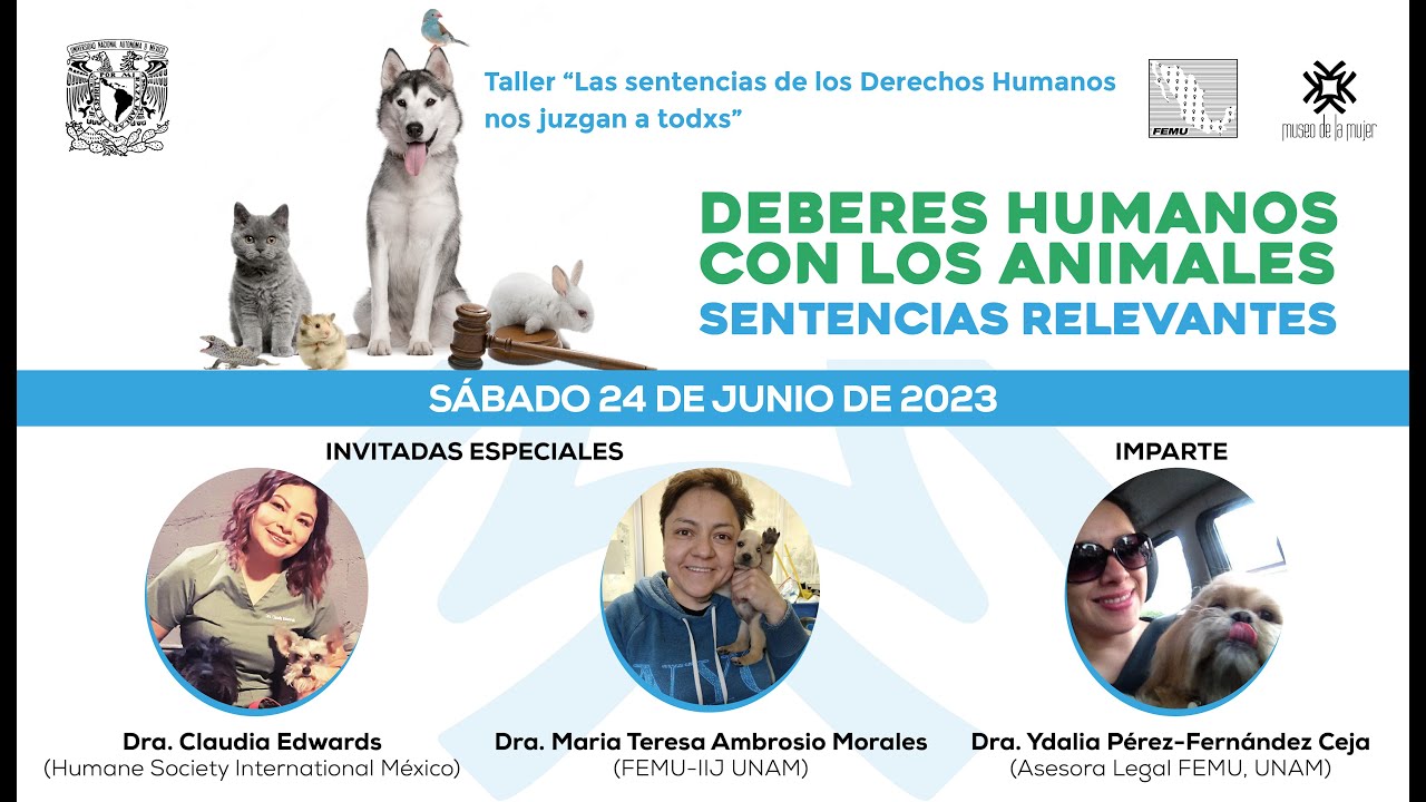 Imágenes De Los Derechos De Los Animales ADDA Asociación Defensora
