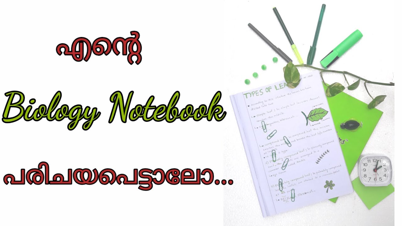 How I Take My Biology Note/Note Taking Ideas/Sand's Paper - YouTube