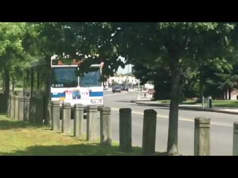 B83 Bus Orion Vll og - YouTube