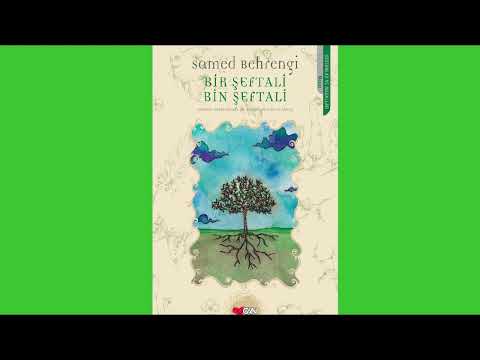 Sesli Kitap | Bir Şeftali Bin Şeftali - Samed Behrengi