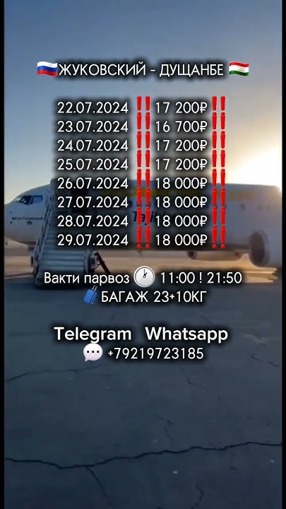 19.07.24 ЖУКОВСКИЙ ДУШАНБЕ НАРХИ ИРУЗА #нархи_билет #арзонбилет # ...