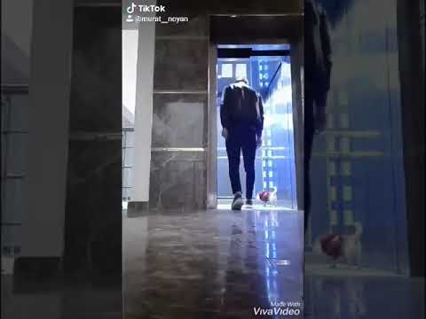 Köpeğin Muhteşem Dostluğu ve Mutluluğunu İzleyin