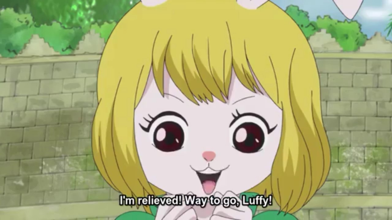 CHOPER without hat | One piece episode 775 - YouTube