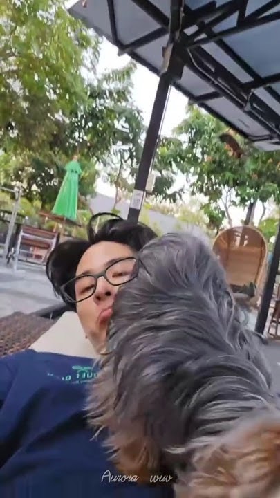 (Tay) 250101 틱톡 라이브 TikTok Live - YouTube