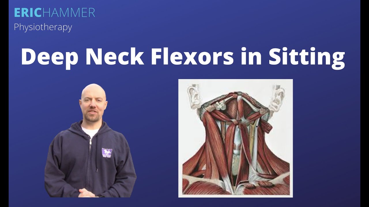 Deep Neck Flexors in Sitting - YouTube