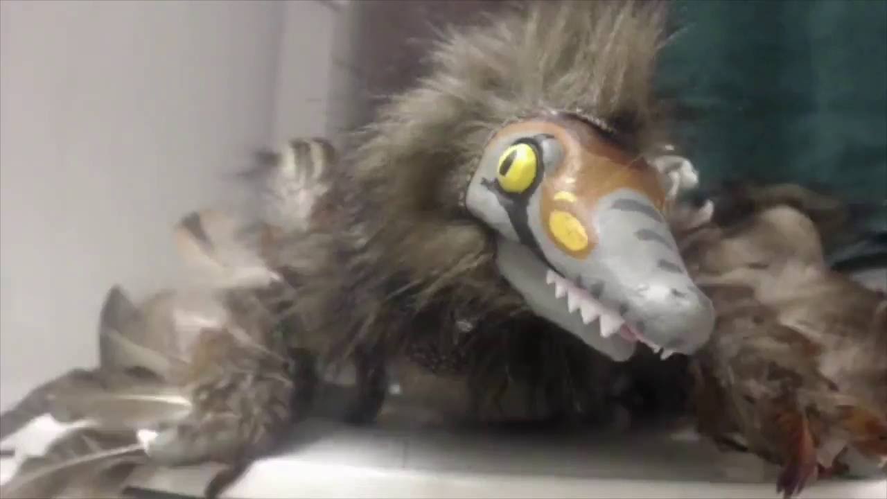 Roger the Raptor - YouTube