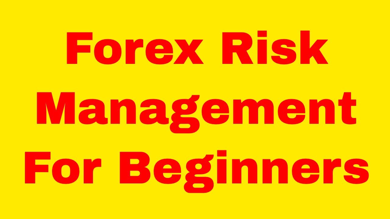 Forex Risk Management For Beginners - YouTube