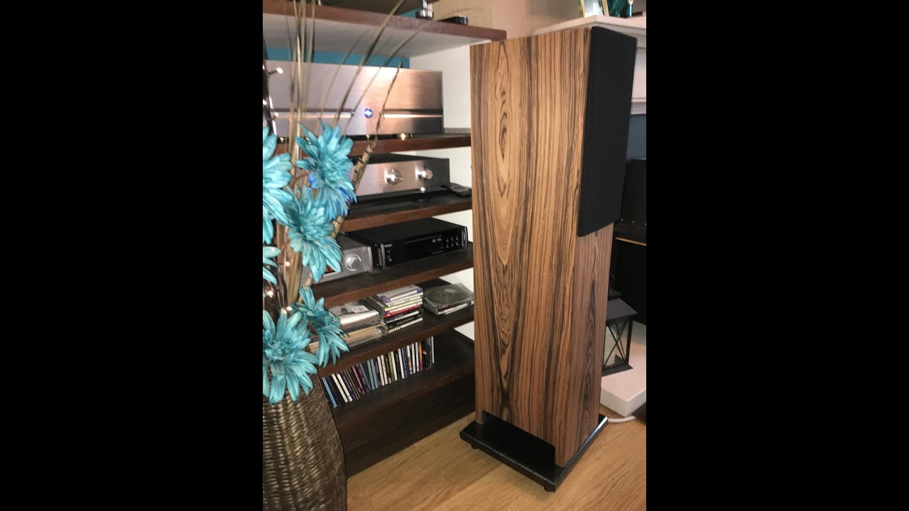 Diy speaker Proac D28 clone - YouTube