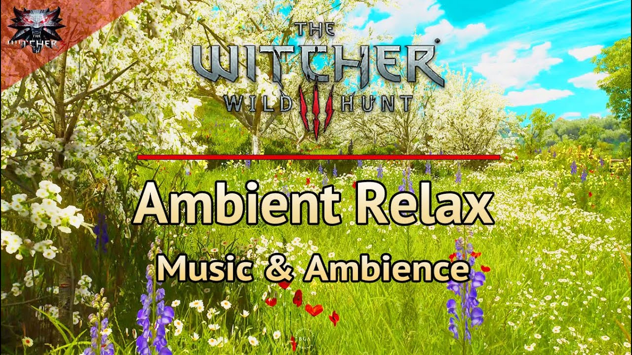 The Witcher 3 Relaxing Ambient Music | 4 Hours of Emotional and ...