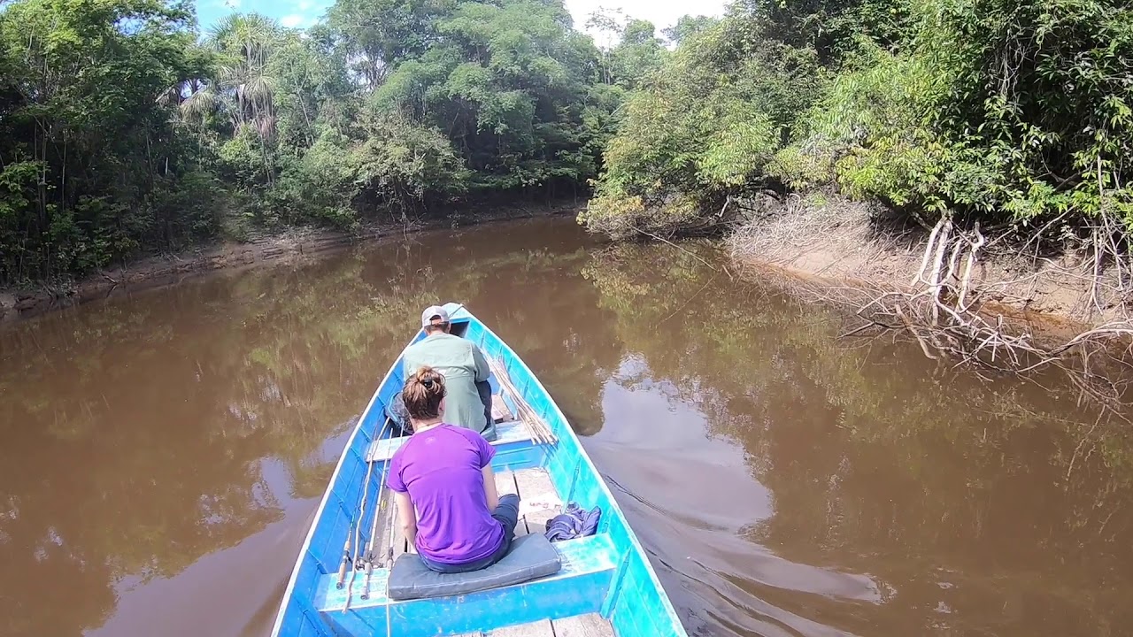 Exploring the Amazon 2018 - YouTube