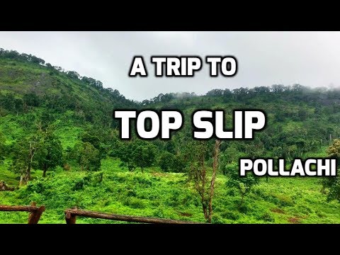 Top Slip / A Trip to Top Slip Pollachi / Parambikulam Tiger Reserve ...