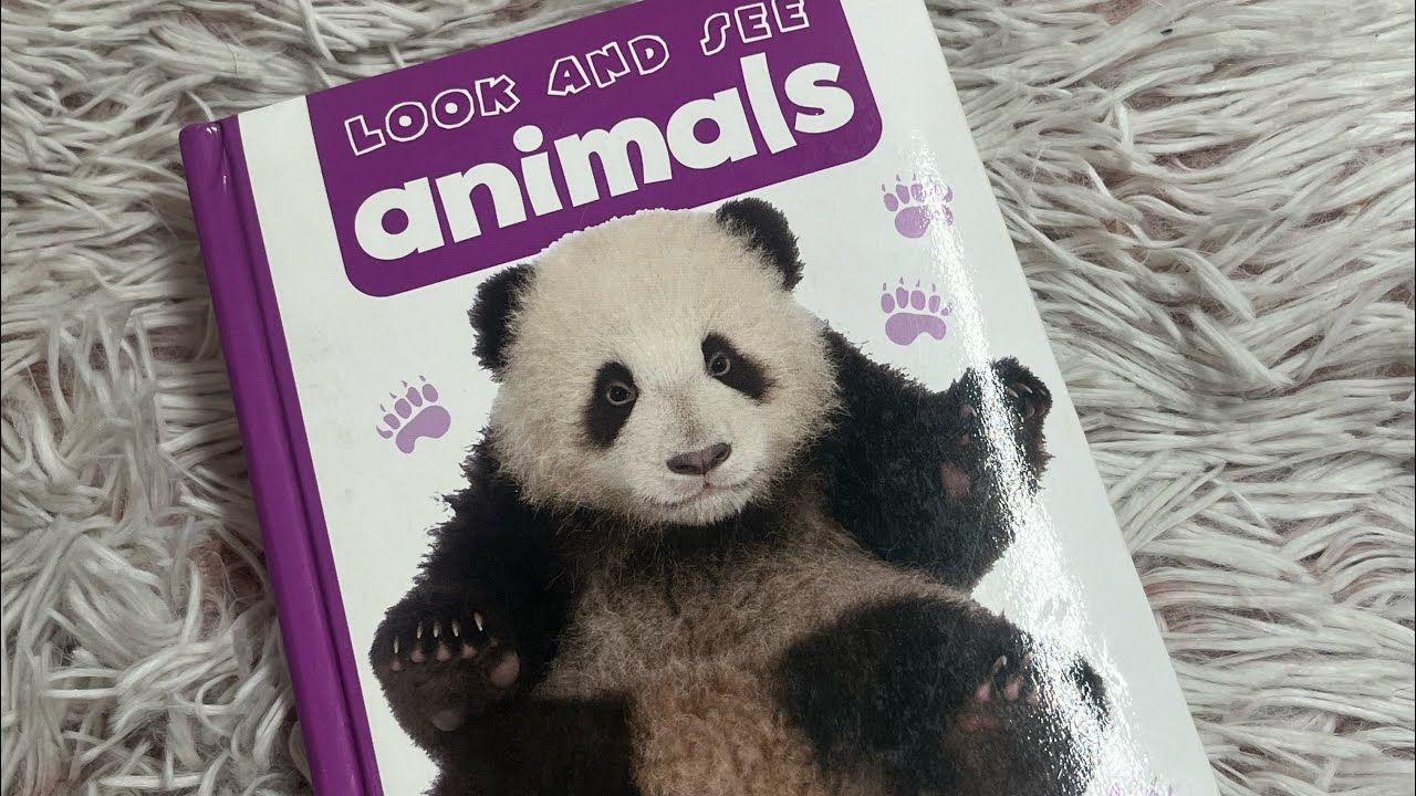 Look and See Animals - read aloud - YouTube