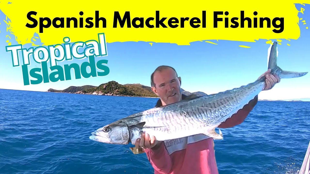 Fishing for Spanish Mackerel in Tropical Islands of Australia | Palm ...
