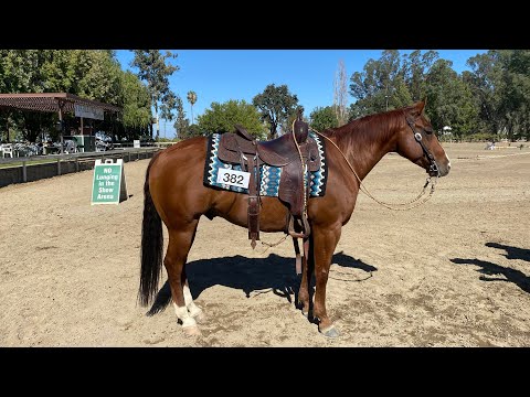 My Jimmy Rey - AQHA Ranch Riding Pattern 3 - YouTube