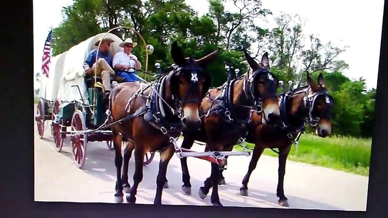 WAGON TRAIL RUTS - STILL VISIBLE - 150 YEARS LATER - YouTube