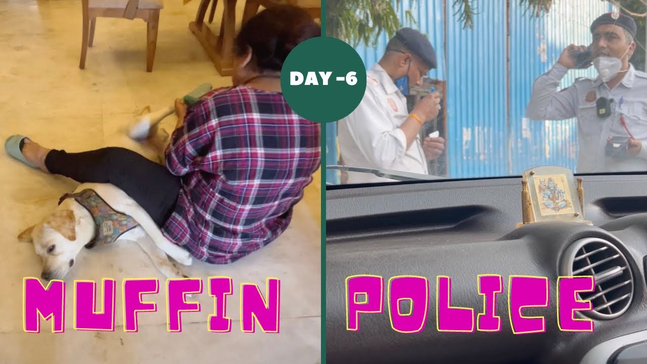 DAY - 6 - CAUGHT BY THE POLICE - MUFFIN KO PUNISHMENT - VRITI KHANNA ...