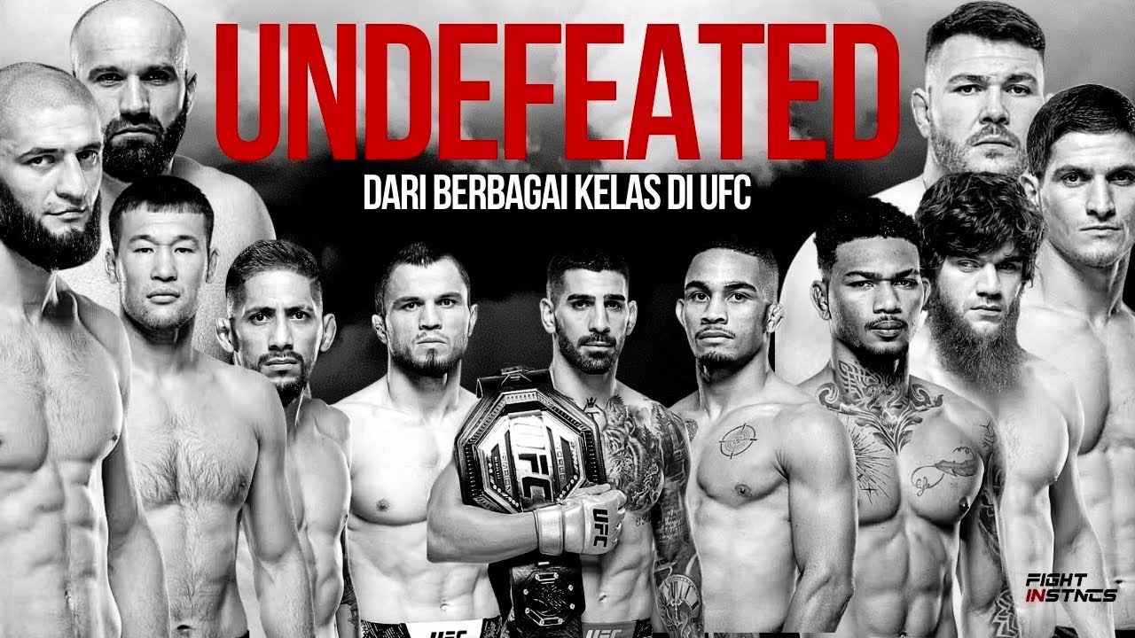 INI DIA PETARUNG UNDEFEATED DI UFC DARI BERBAGAI KELAS🔥💯 - YouTube