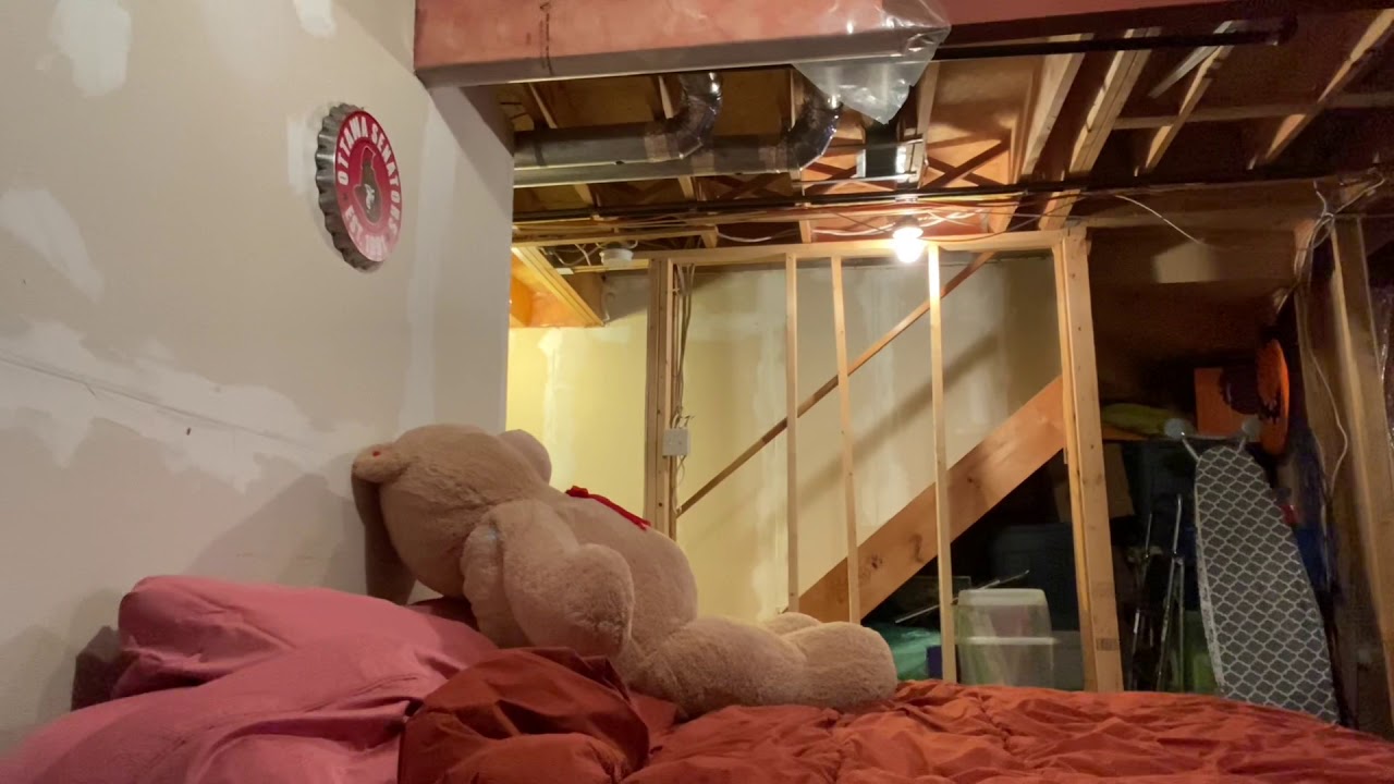 Big bear versus Simba The Gamer it might be the end for Simba The Gamer ...